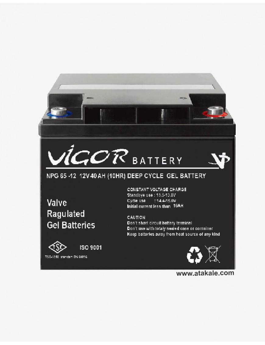 Vigor 40AH 12Volt Jel Akü Fiyatları:63USD, Outdo Vigor AGM Jel Batarya ...